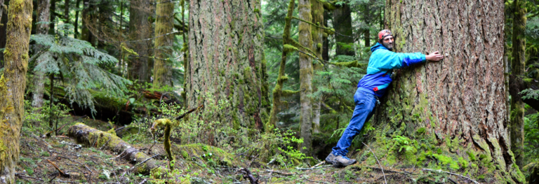 get-smart-tree-hug - Milton Keynes